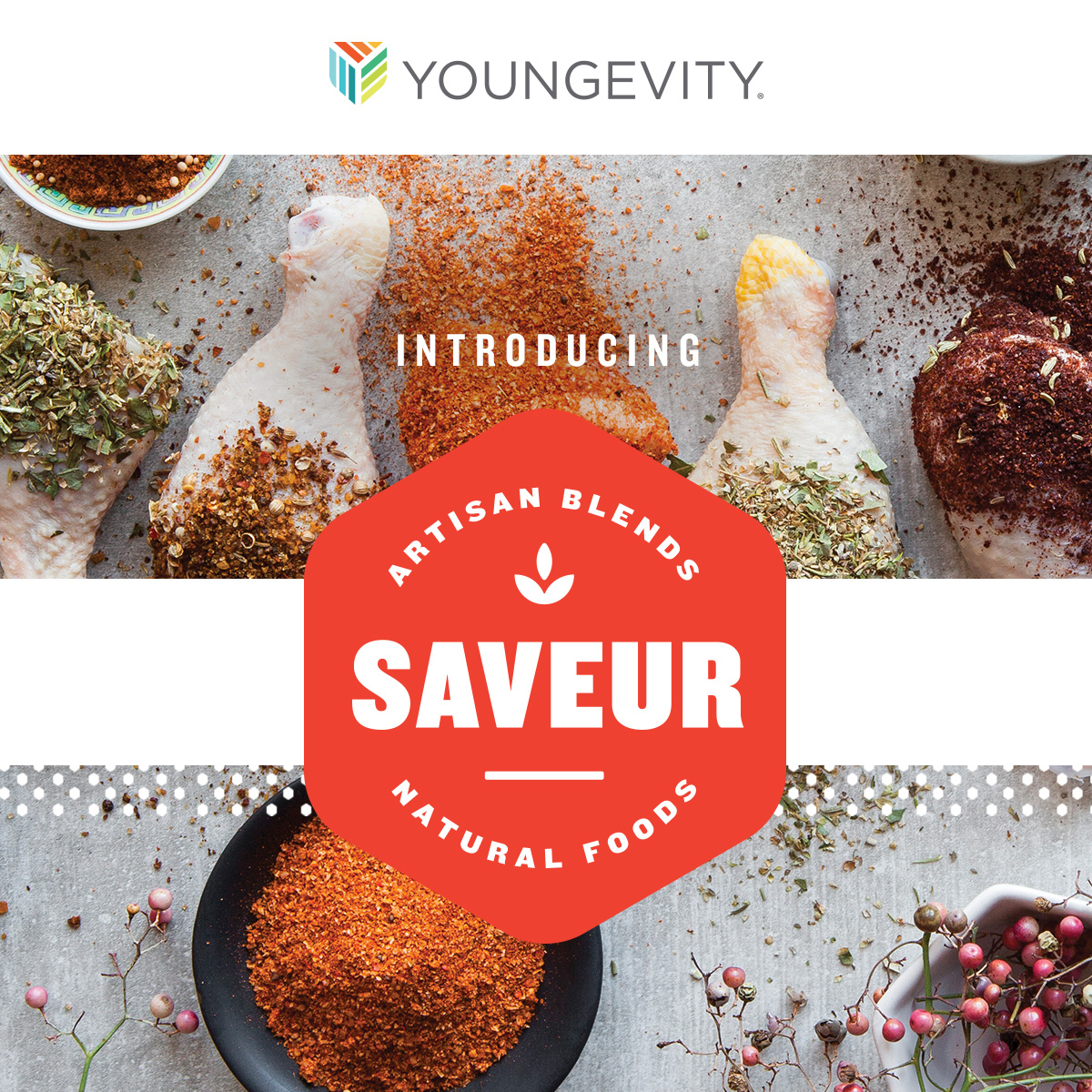 Introducing Saveur Natural Foods! – Youngevity Australia